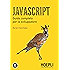 Imparare a programmare con JavaScript: il manuale per programmatori dai ...