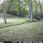 Amazon.com : Trail Camera, 2018 Upgraded Distianert 720P 12MP Hunting ...