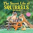 The Secret Life of Squirrels Wall Calendar 2024: A Year of Wild ...