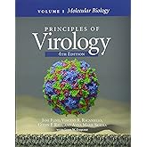 Principles of Virology, Volume 1: Molecular Biology (ASM Books): Flint ...