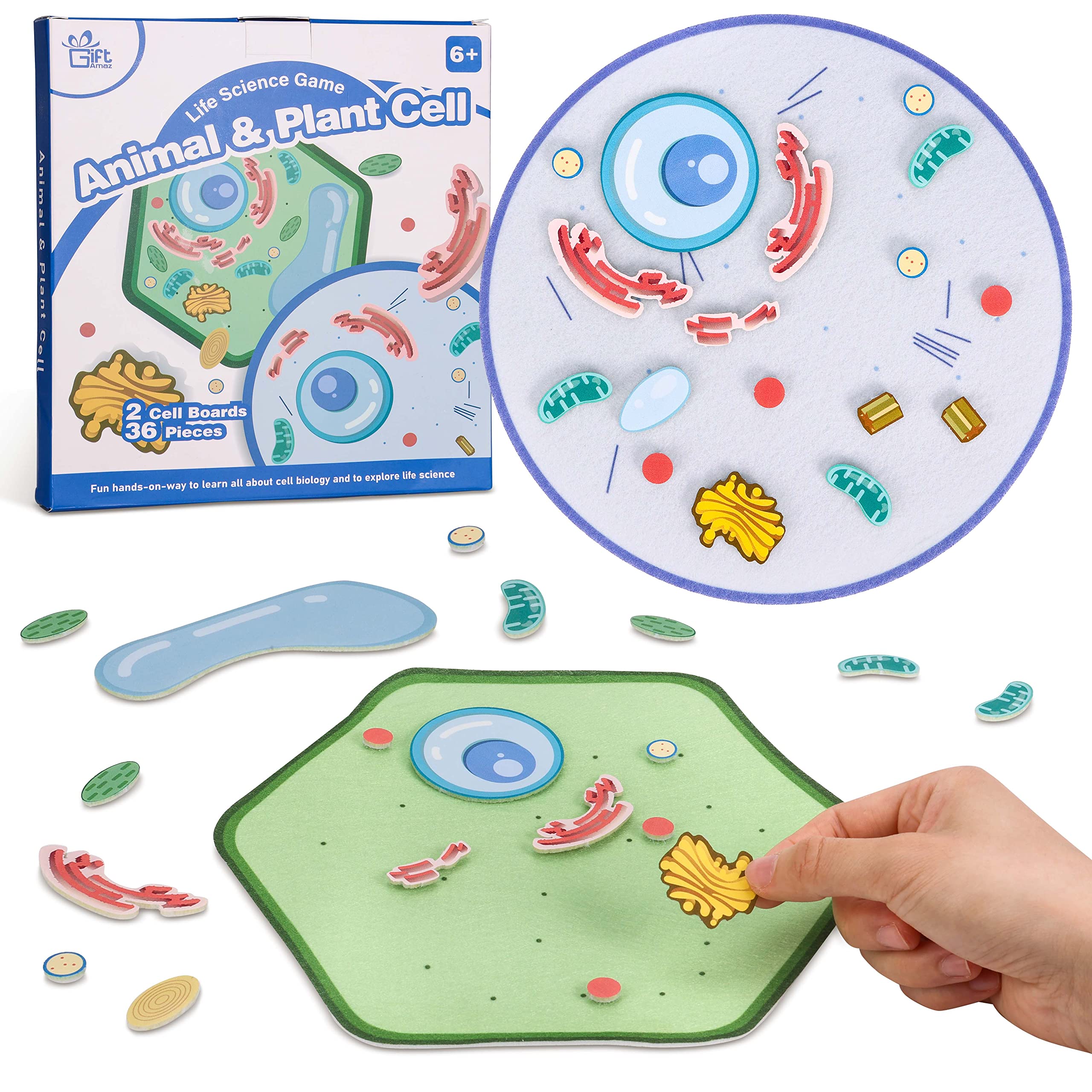 Mua Animal and Plant Cell Anatomy Model, Soft Felt Toy, Early Cell ...
