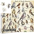 Amazon.com: Owl Puzzles for Adults 1000 Pieces, Bird Animal Jigsaw ...