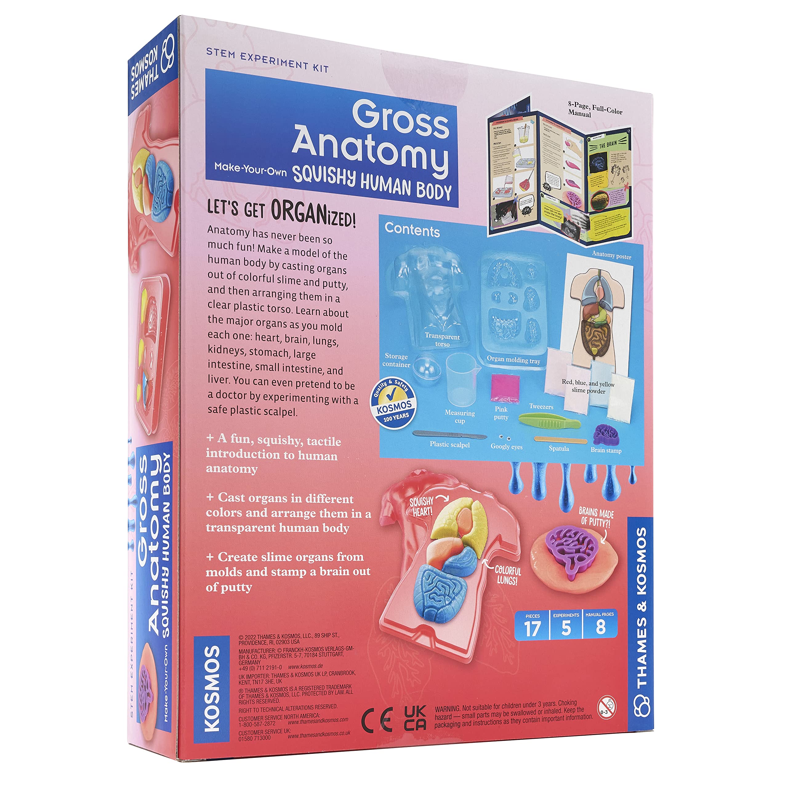Mua Thames & Kosmos Gross Anatomy: Make-Your-Own Squishy Human Body ...