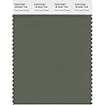PANTONE Smart 18-0420X Color Swatch Card, Four Leaf Clover - House ...