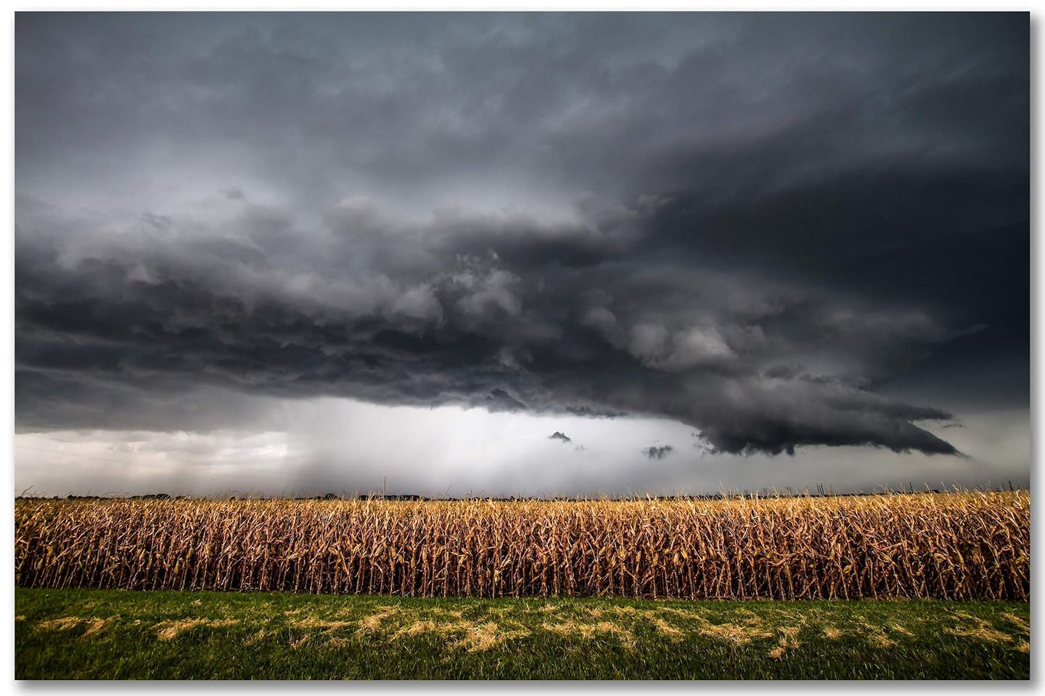 Amazon.com: Country Wall Art Photography Print - Picture of Intense ...
