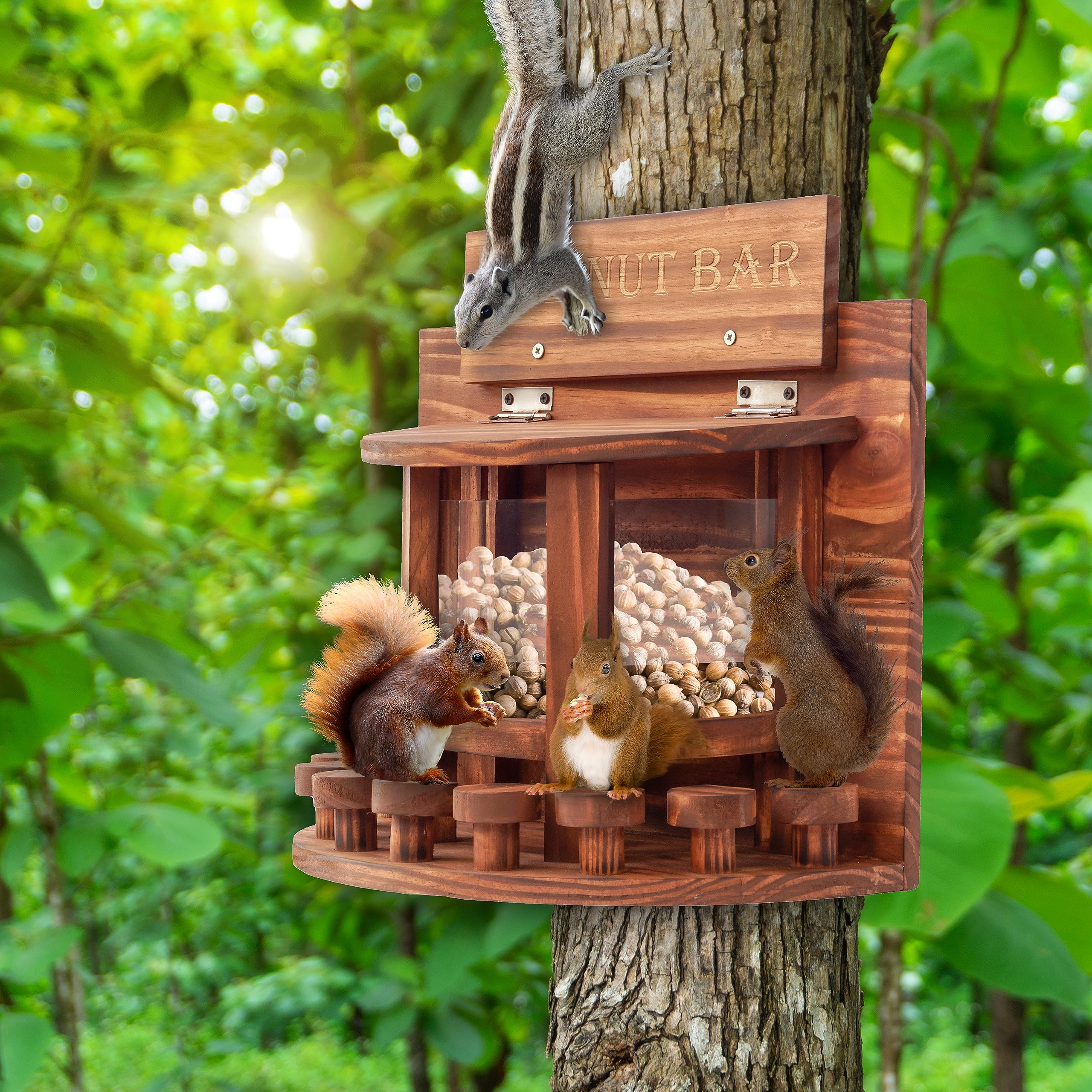 Mua MIXUMON Crescent Squirrel Feeder Table, Wooden Squirrel Picnic ...