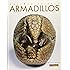 Amazon.com: Amazing Armadillos (Step into Reading) (9780375843525): Jennifer Mckerley, Paul ...