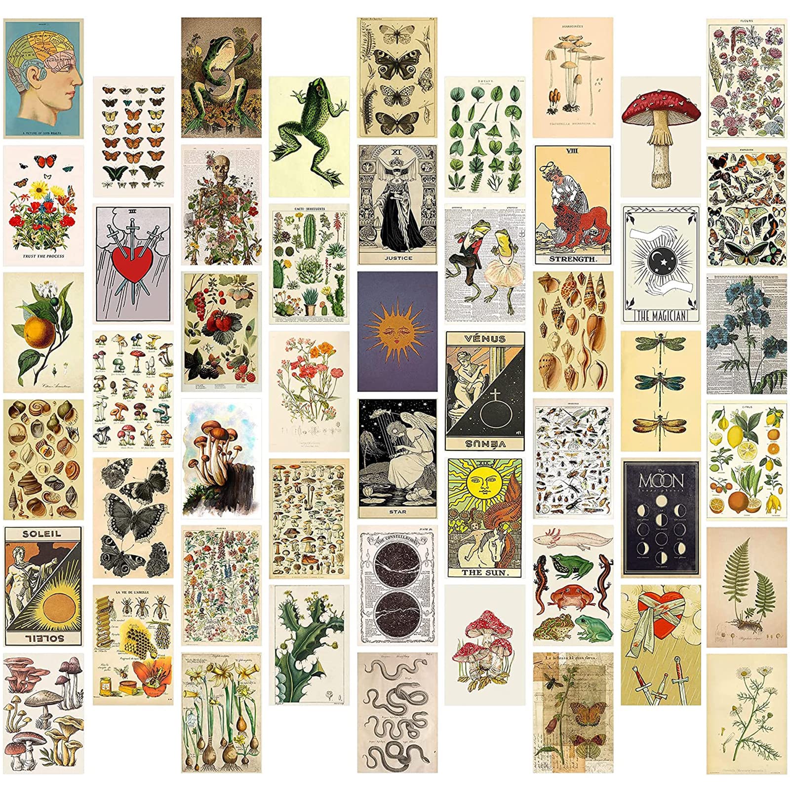 Mua WAIZHIUA Pack of 50 Vintage Botanical Wall Collage Kit - Aesthetic ...