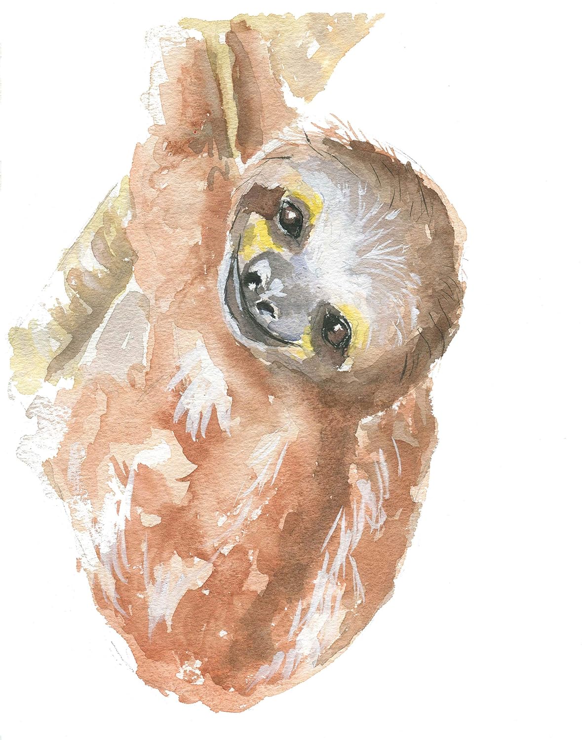 Sloth Wall Print Artwork For The Home - Pictures for Living Room or ...