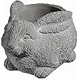 Amazon.com : Classic Home & Garden 9/3442/1 Cement Buddies Rabbit ...