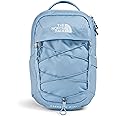 Amazon.com: THE NORTH FACE 10L Mini Borealis Everyday Backpack, Steel ...