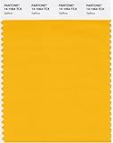 PANTONE Smart 18-0617X Color Swatch Card, Covert Green - House Paint ...
