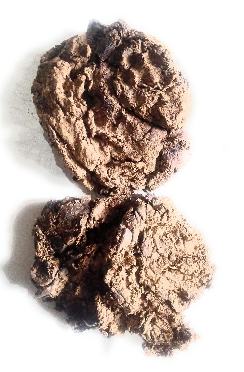 Buy Generic Cow Dung(GOBAR KE UPLE) Peck of 21 Pcs. Online at Low ...