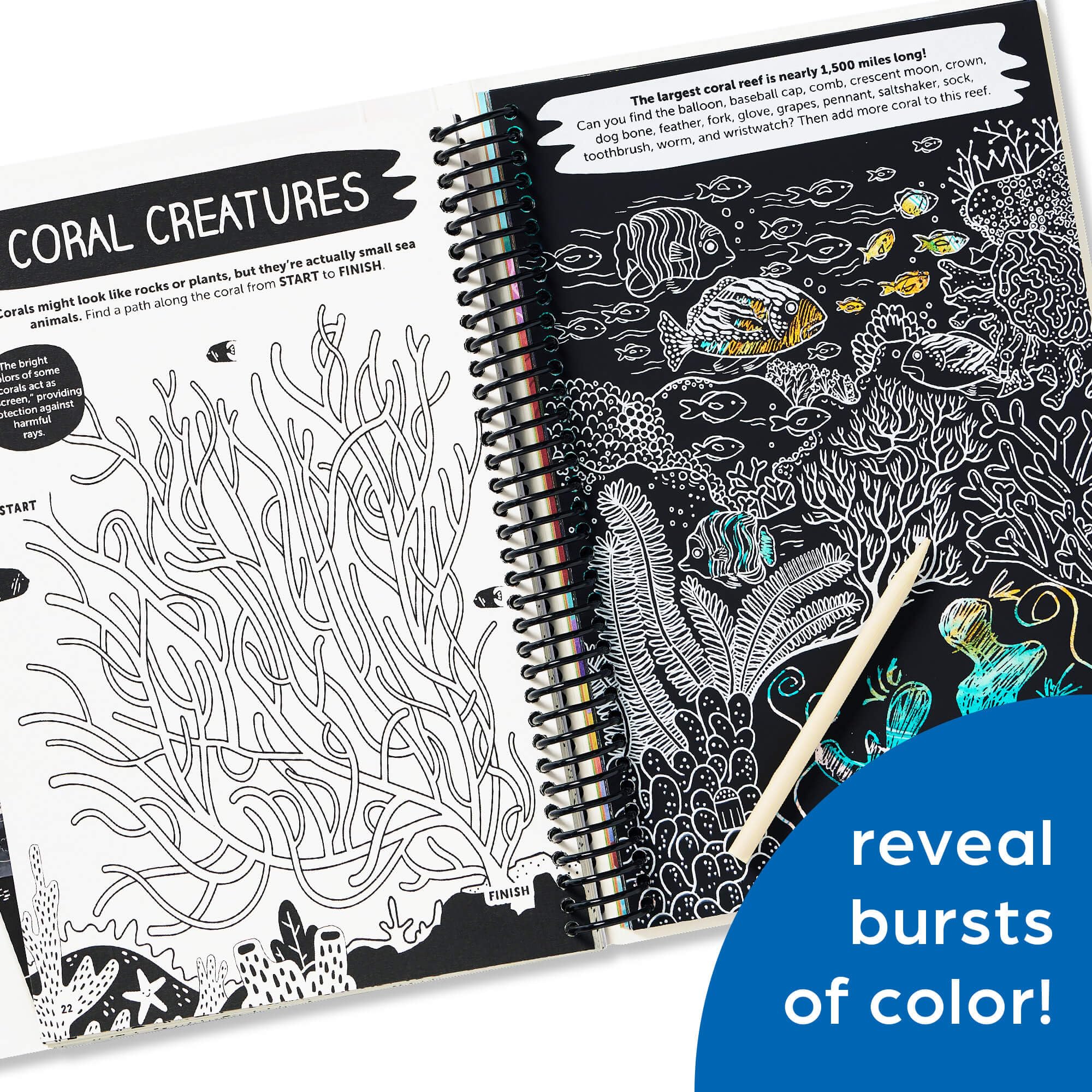 Mua Scratch-Off Hidden Pictures Mysterious Ocean Puzzles (Highlights ...