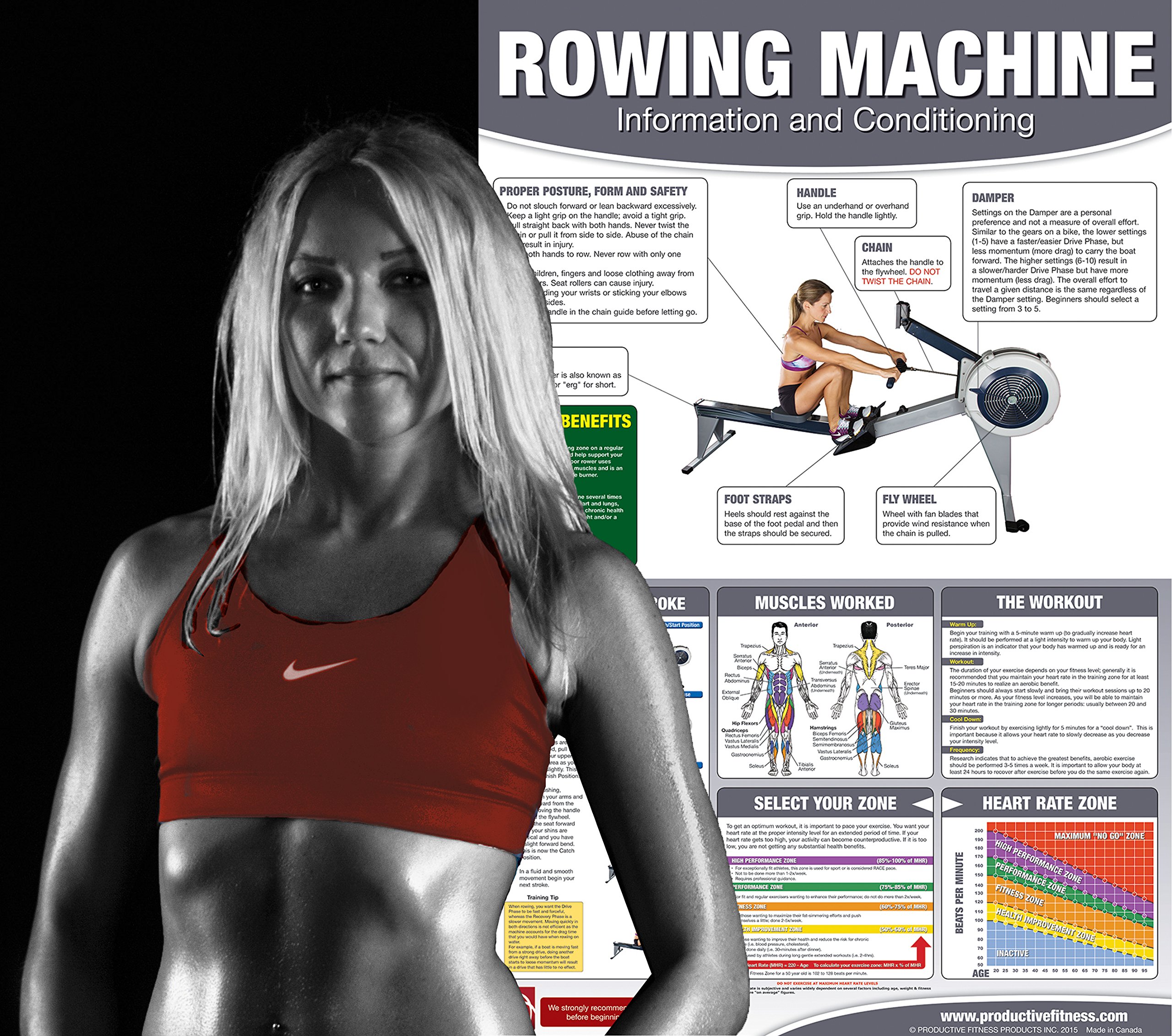 Mua Rowing Machine Poster/Chart: How to use a rower - How to use an Erg ...
