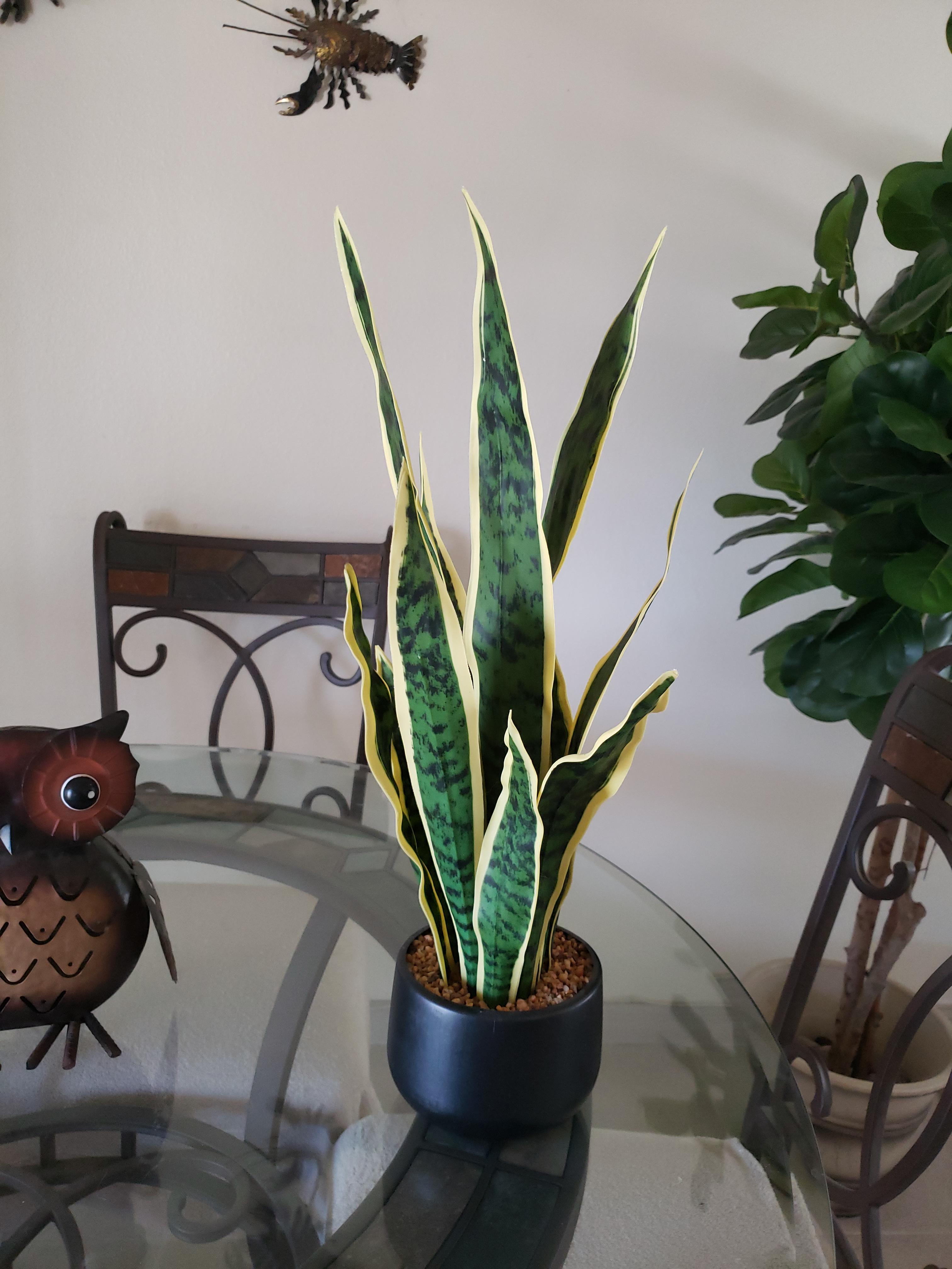 $9/mo - Finance Beebel Artificial Snake Plant 22 Inch Fake Sansevieria ...