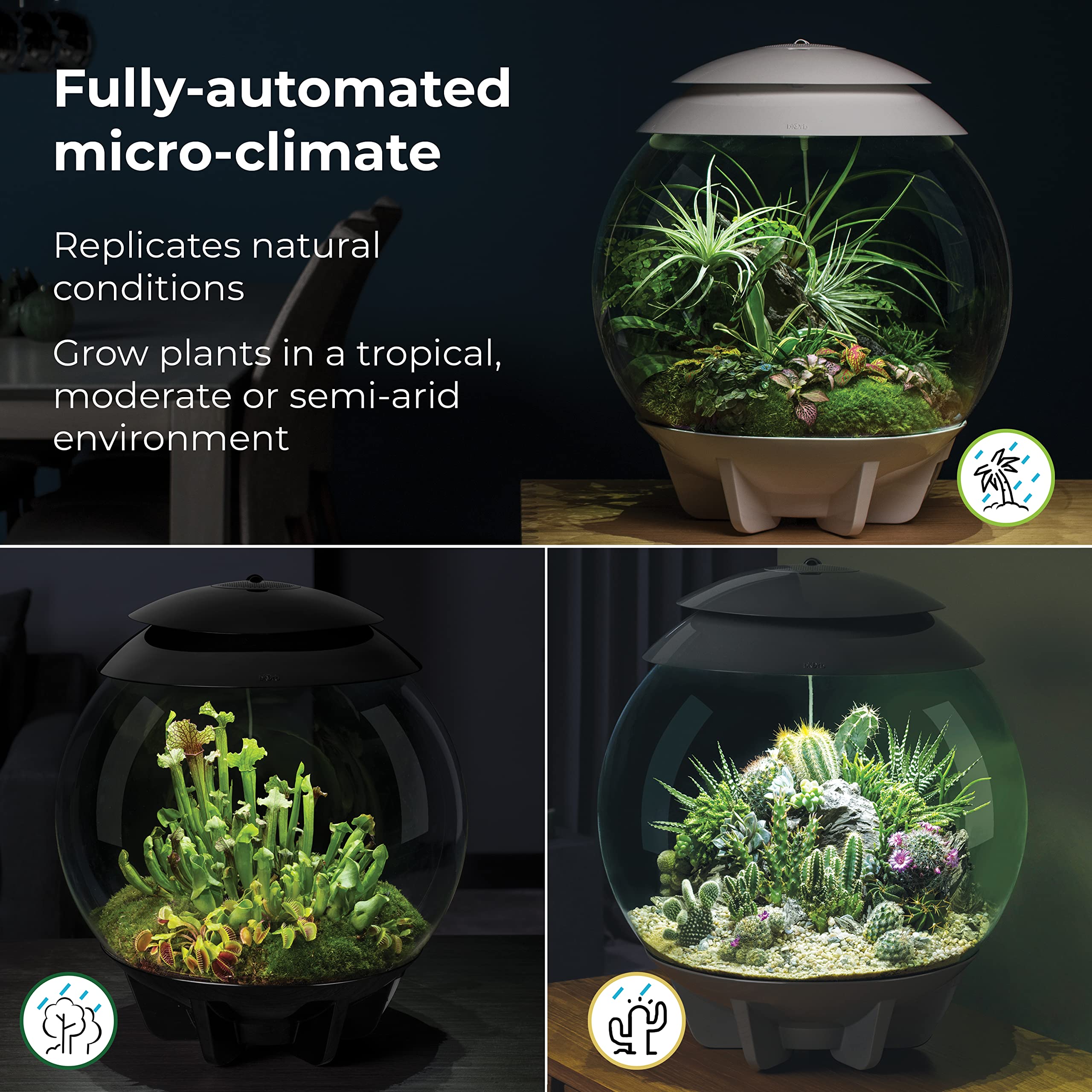 Mua biOrb AIR 30, Fully Automated Terrarium for Arid, Temperate, or ...