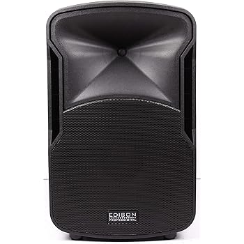 Amazon.com: Edison Professional EN-1500 EU Bluetooth Wireless Speaker ...