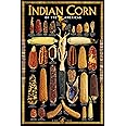 Amazon.com: Indian Corn of America - Art Print Poster - 24x36inches ...