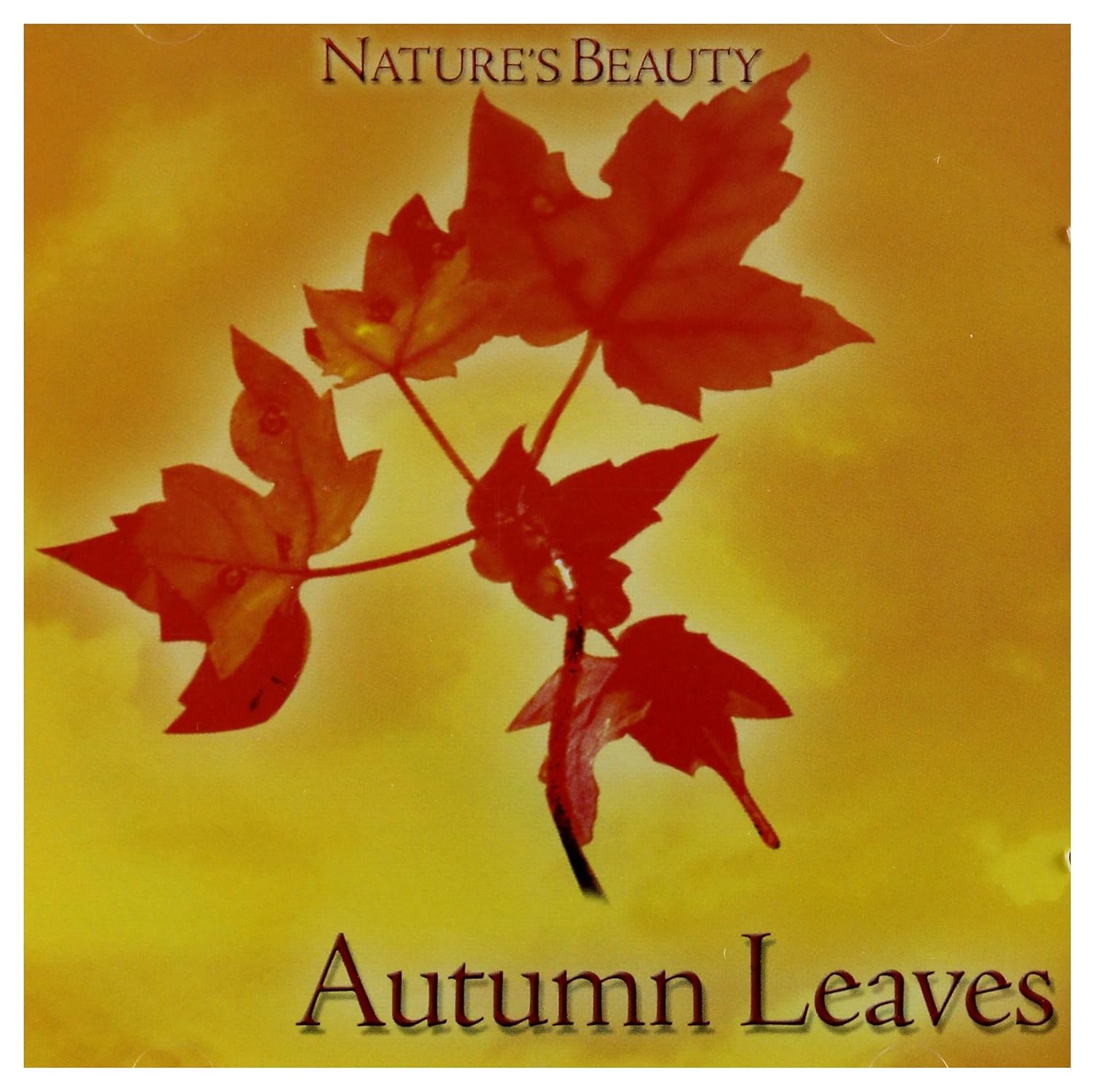 Autumn Leaves : Various Artists: Amazon.fr: CD et Vinyles}