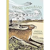 Winter's Song: part of a beautiful new series from beloved illustrator ...