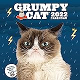 Grumpy Cat 2019 Wall Calendar: Grumpy Cat: 9781452159997: Amazon.com: Books