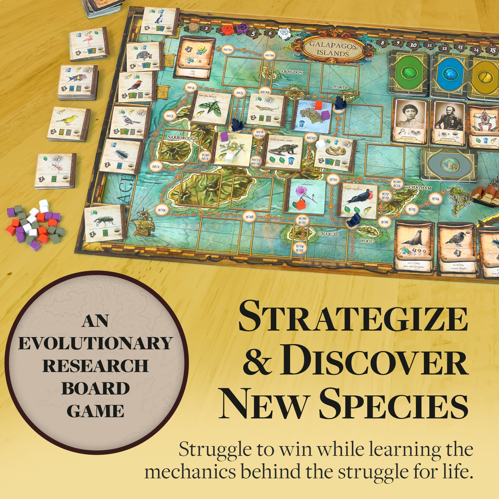 On The Origin of Species | An Evolutionary Research Board Game by ...