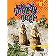 Amazon.com: Let's Look at Prairie Dogs (Lightning Bolt Books ® ― Animal ...