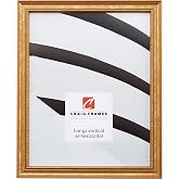 Amazon.com - Craig Frames 314GD 22 x 28 Inch Ornate Gold Picture Frame ...