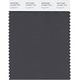 Pantone 19-3907 TCX Smart Color Swatch Card, Forged Iron - House Paint ...