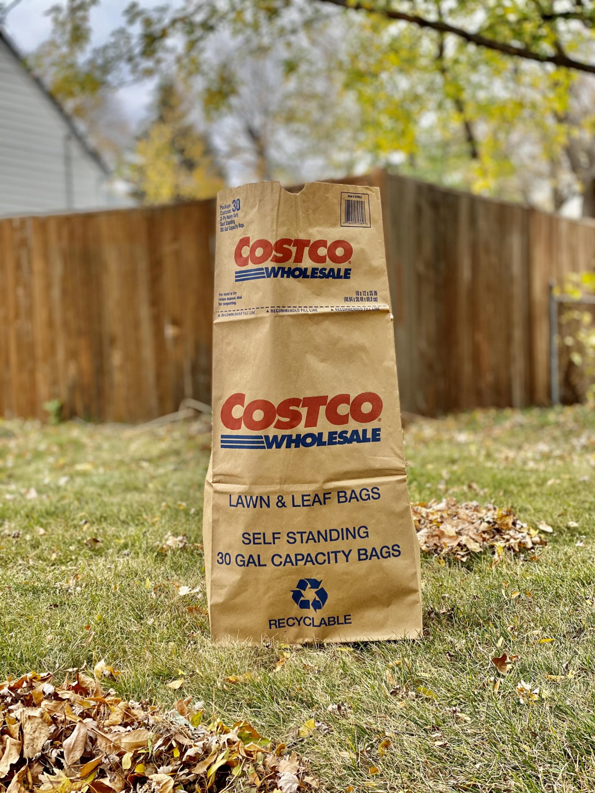 Mua 30 Gallon Lawn & Leaf 2-Ply Heavy-Duty Yard Waste Compost Paper ...