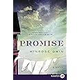 Amazon.com: Promise: A Novel: 9780062791849: Gwin, Minrose: Books