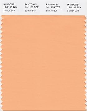 PANTONE SMART Color Swatch Card, salmón, (Salmon Buff): Amazon.com.mx ...