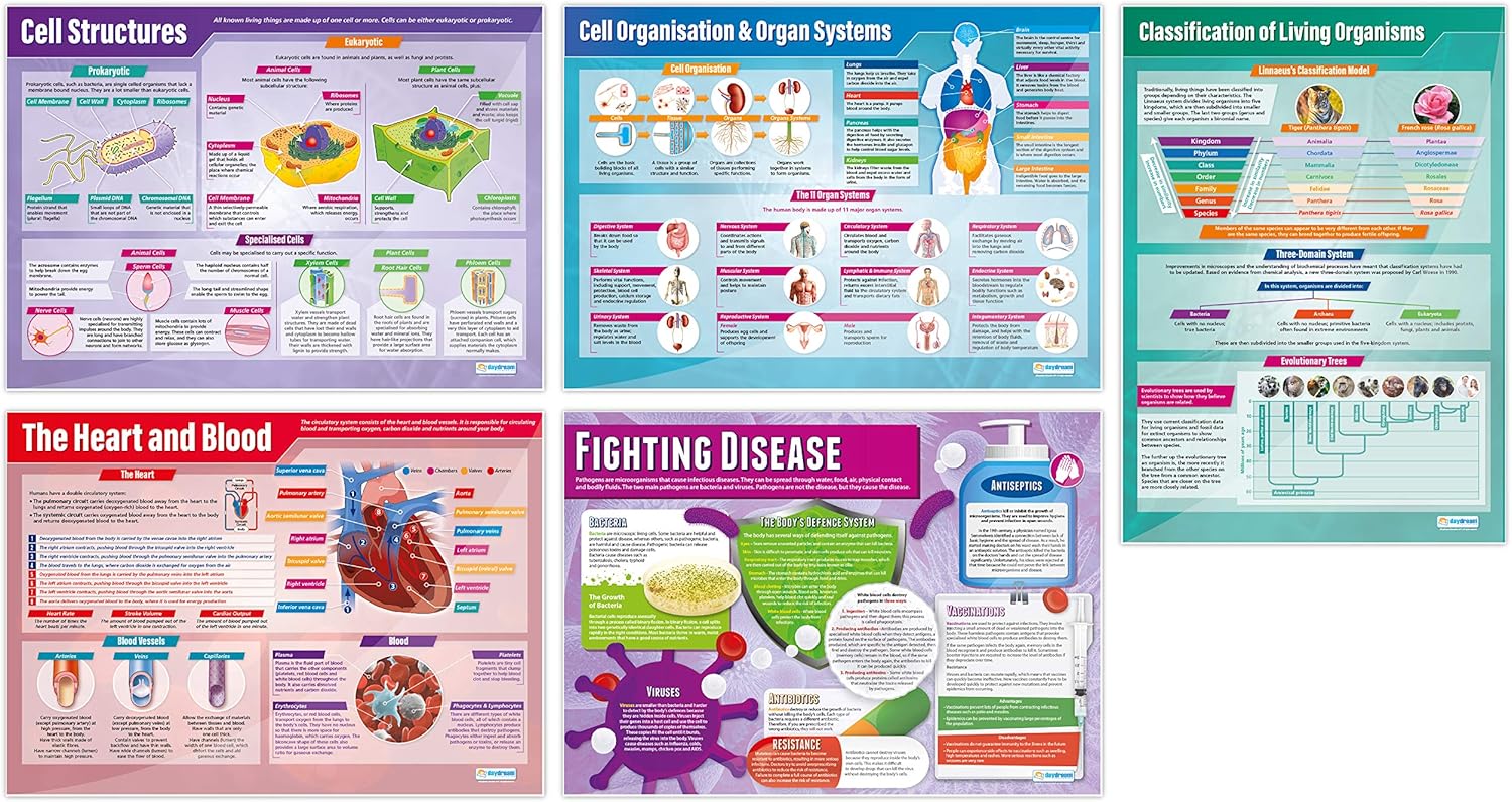 Biology Posters – Set of 13 | Science Posters | Gloss Paper measuring ...
