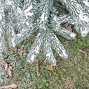 Amazon.com: Peak Seasons 11102 2 Lbs White Sno-Bond Flock In A Box ...