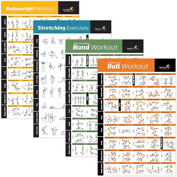 Chair Exercise Chart ALGRA Chest Workout Chart - 24x36 Inch Laminated ...