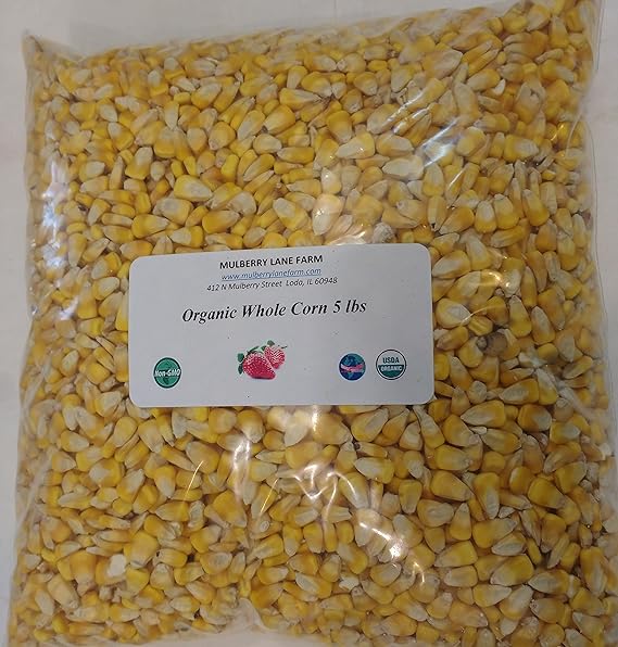 Amazon.com : Whole Corn 5 Pounds Yellow USDA Certified Organic, Non-GMO ...