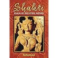 Shakti: Realm of the Divine Mother: Vanamali: 9781594771996: Amazon.com ...