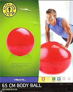 Amazon.com : Golds Gym 65 cm Exercise Body Ball with Pump : Home Gyms ...