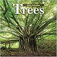 Amazon.com: TF PUBLISHING 2025 Trees Wall Calendar - Large Grids for ...