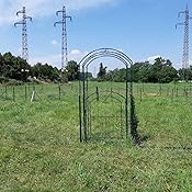 Relaxdays Arco per Rose con Cancelletto, Sostegno per Rampicanti, in ...