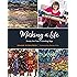 Lifetime of Rug Hooking: Doris Eaton: 9781551098463: Amazon.com: Books
