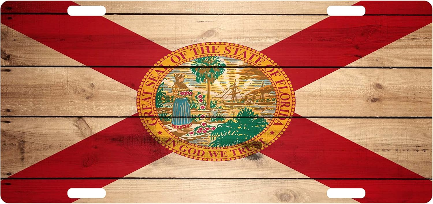 Amazon.com: FLORIDA STATE FLAG Custom License Plate Sunshine State ...