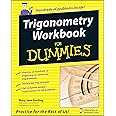 Amazon.com: Trigonometry Workbook For Dummies: 9780764587818: Sterling ...