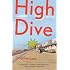 High Dive: Amazon.co.uk: Jonathan Lee: 9780434023370: Books