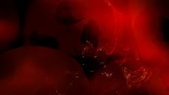 Amazon.com: Whispers From The Abyss 2: The Horrors That Were and Shall Be eBook: Rocha, Kat ...