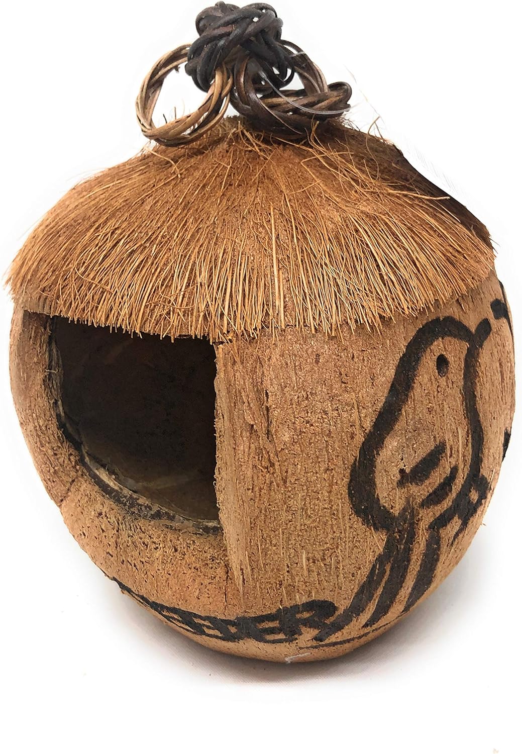 Westwoods Natural Coconut shell Bird House - BigaMart