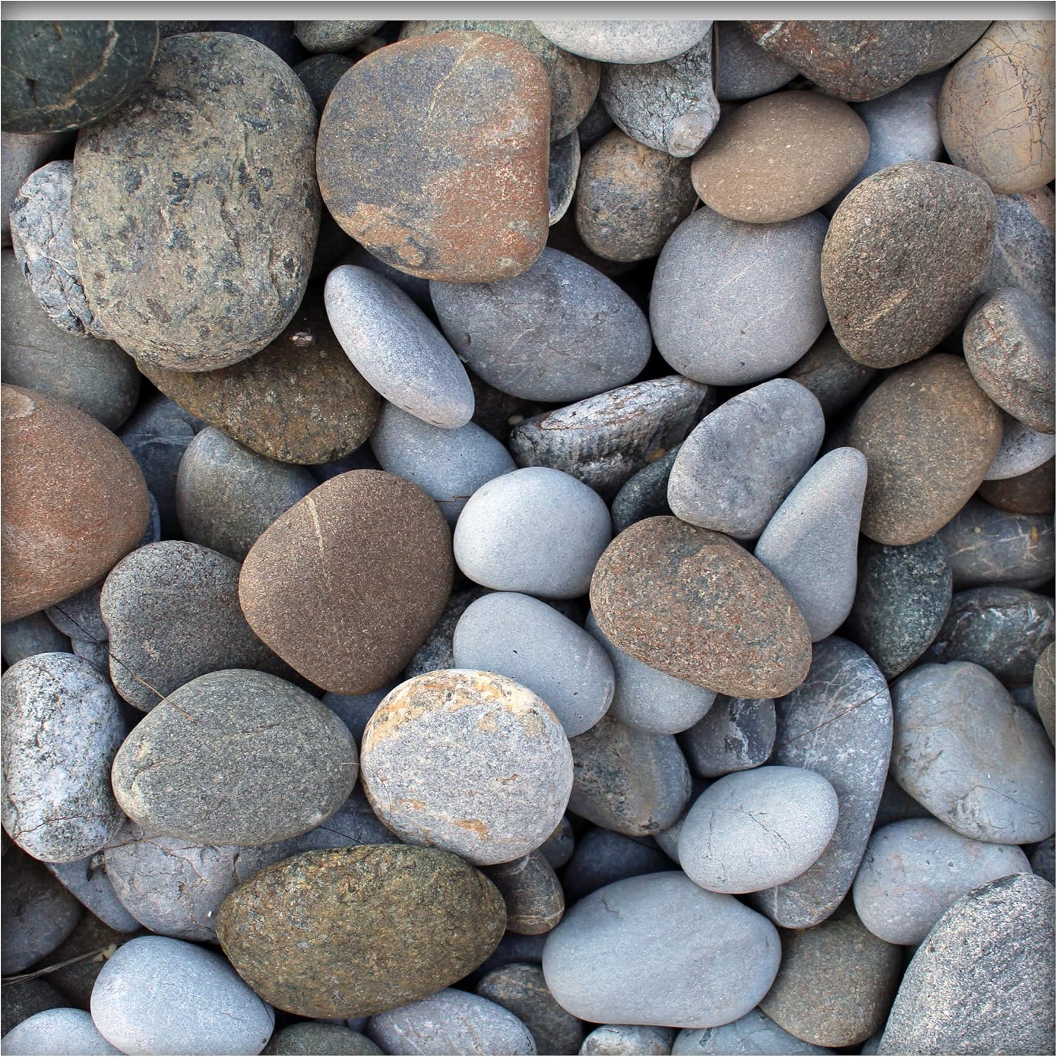 Kieskönig Flusskiesel Zierkies River Pebbles Gartenkies Ziersteine ...