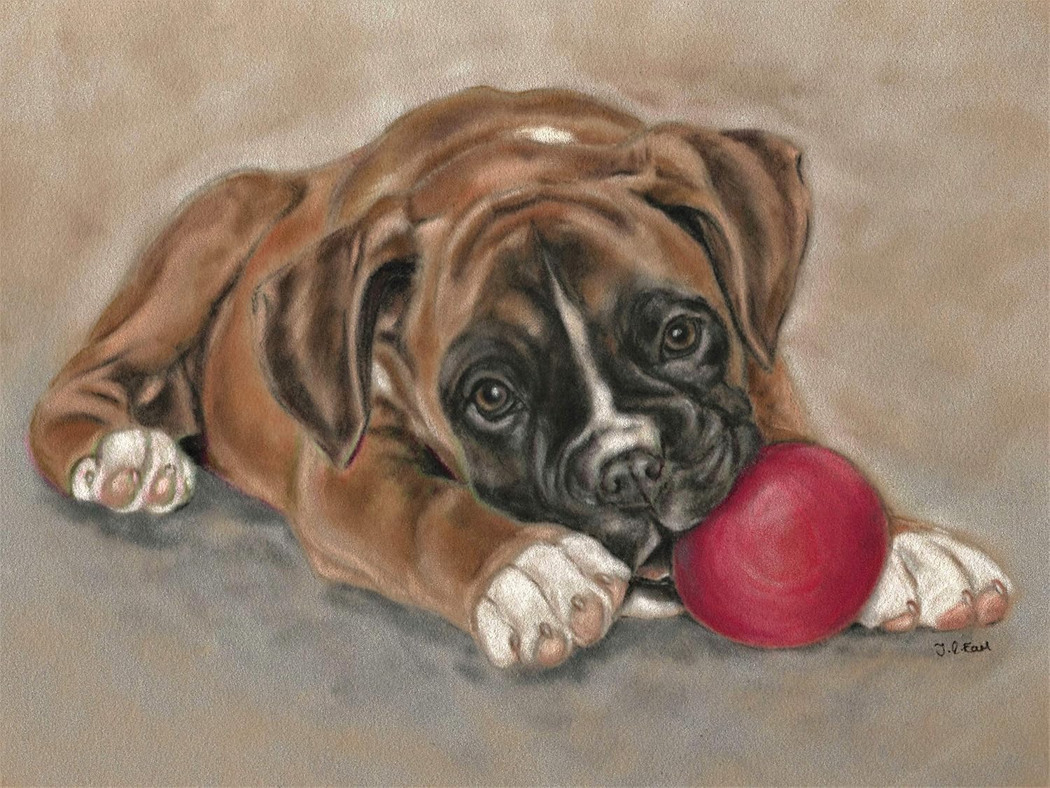 Boxer Puppy Art Print Original Dog Artwork Puppy Picture Size A4 ...