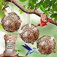 Amazon.com: Hummingbird Nesters - Bird Nesting Material Holder for Wild Birds - Humming Bird ...